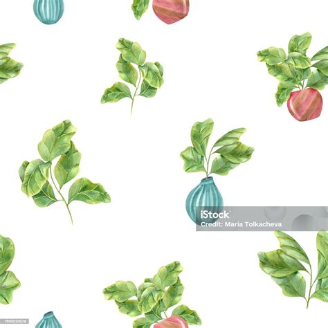 푸른 세라믹 냄비에 거대한 녹색 잎 바이올린 잎 무화과 실내 장식이 있는 관엽 식물 원활한 패턴 흰색에 고립된 수채화 그림입니다