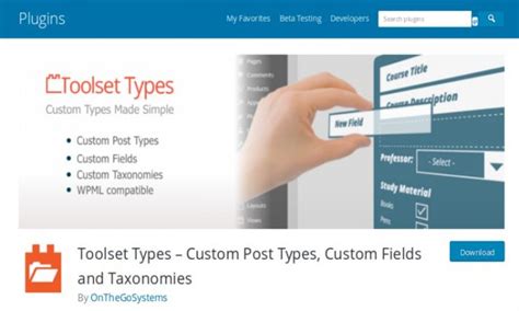 The Power Of WordPress Custom Fields WPArena