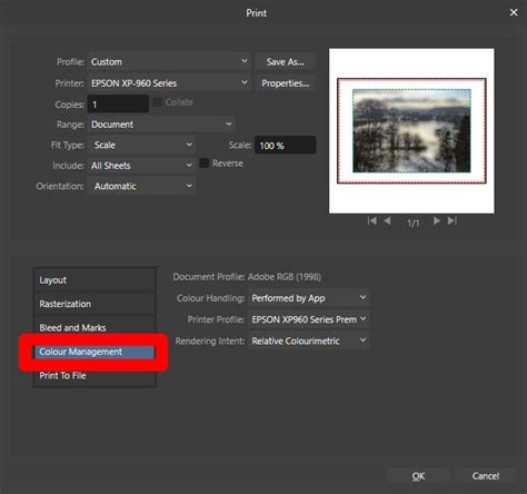 Printing With Custom Icc Profiles In Photo 2 Desktop Questions Macos And Windows Affinity