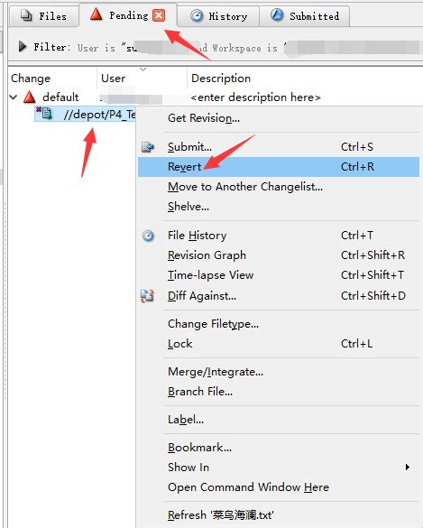 Perforce （p4）版本控制使用指南p4版本管理 Csdn博客