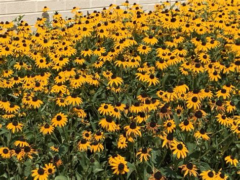 How Do You Define Agile