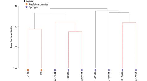 Result Of A Cluster Analysis Of Sponge And Reefal Carbonate Samples