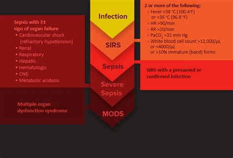 Sepsis Managing The Systemic Response