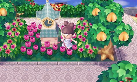 Acnl Isabelle