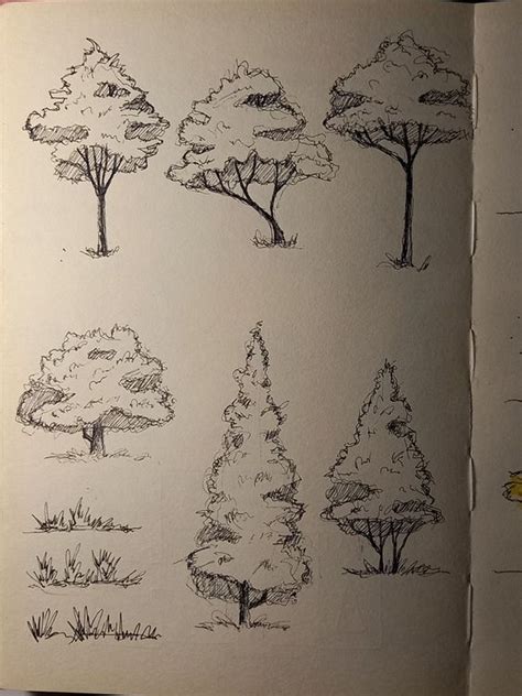 Пин на доске Art Эскизы деревьев Рисование деревьев Артбуки