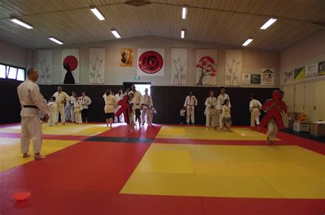 Bienvenue Sur Le Site Officiel Du Club Dojo Saint Georges Sur Loire