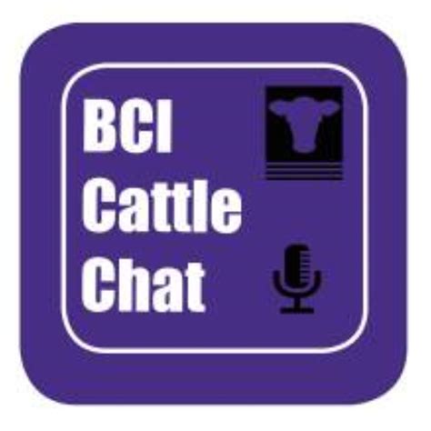 Bci Cattle Chat Final Logo