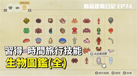 【集合啦！動物森友會】建島日記74 時間旅行從現在開始 全滿的生物圖鑑 小系列開端 Youtube