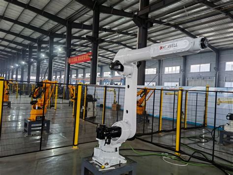 Automatic Palletizing Machine Arm Carton Woven Bag Palletizing Line