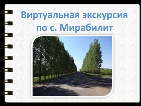 Виртуальная экскурсия по с Мирабилит презентация онлайн