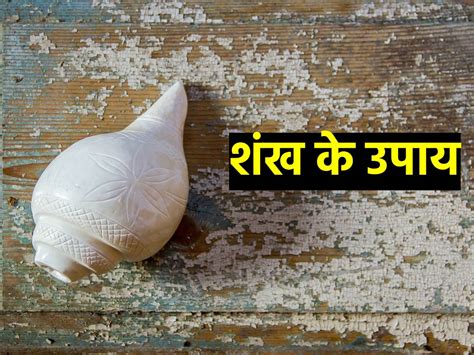 Guruwar Ke Upay शंख बना सकता है अमीर गुरुवार के दिन अपनाएं ये उपाय