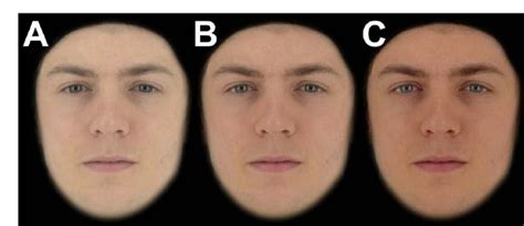 Coloration Applied To Faces Along Sexually Dimorphic Colour Axis In Download Scientific Diagram