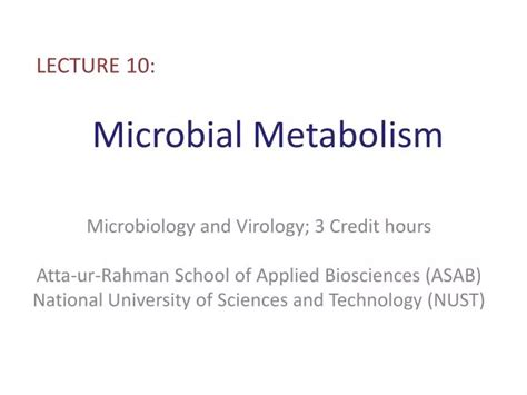 Ppt Microbial Metabolism Powerpoint Presentation Free Download Id