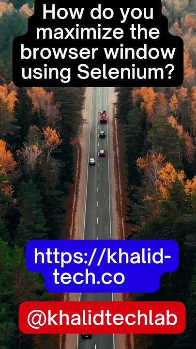 how do you maximize the browser window using selenium shorts