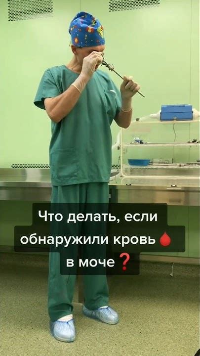 Что делать если обнаружили кровь в моче кровьвмоче анализмочи