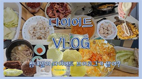폭식다이어트vlog 이제서야 공개하는 다이어트vlog먹고싶은거 다 먹은 다이어트메론빵마라탕익산농협생크림떡메론맛봄날엔 초코초꾸떡다이어트식단다이어트