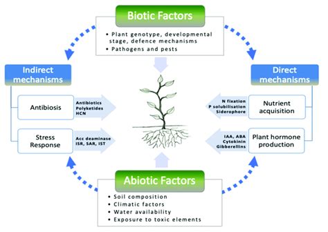 Biotic And Abiotic Factors Influencing Plant Plant Growth Promoting