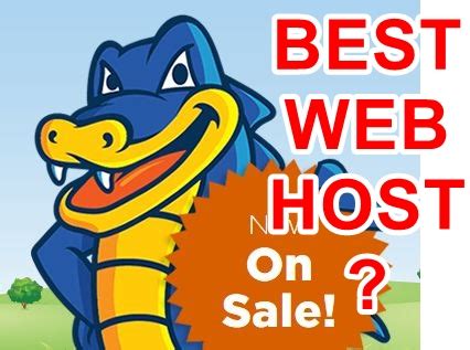 Hostgator Web Hosting A Great Way To Host You First Website