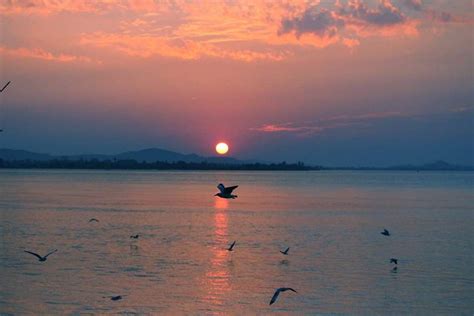 ဧဒင် မြေ အရောင်းအဝယ် Added A New Photo ဧဒင် မြေ အရောင်းအဝယ်