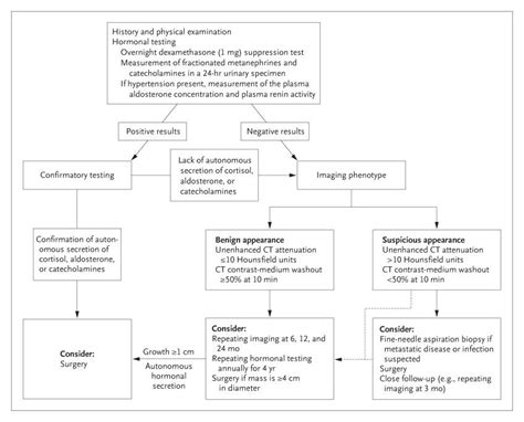 The Incidentally Discovered Adrenal Mass New England Journal Of Medicine