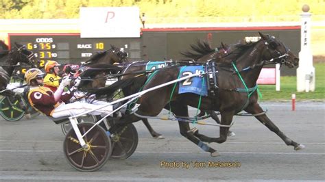 cushings crush at plainridge park u s trotting news