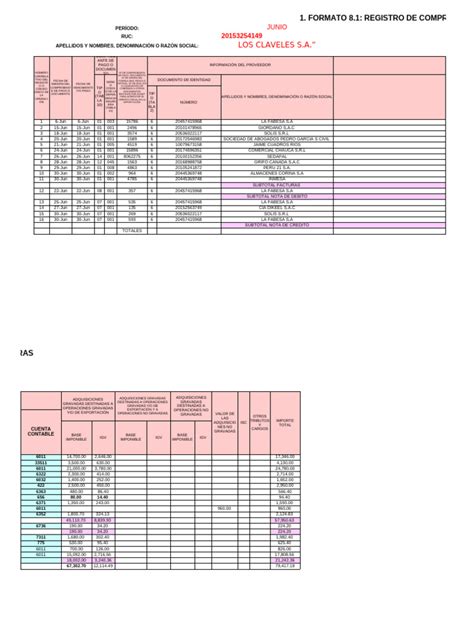 Libro De Compras En Contabilidad Pdf Préstamos Business