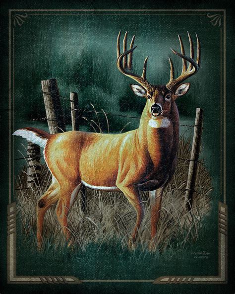 Whitetail Deer Painting By Jq Licensing Fine Art America