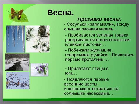 Презентация на тему Времена года Формат Pptx Опубликовано 04 12 2021 в 11 05 53 Автор