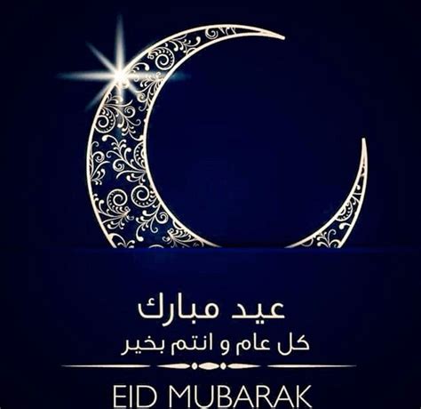 Sara Asaad Posted On Linkedin