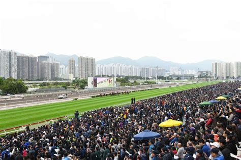 Sha Tin Preview And Tips Sunday November 27
