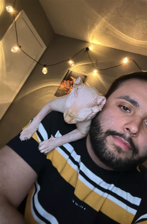 Little Dude Passed Out On My Shoulder Rshouldercats