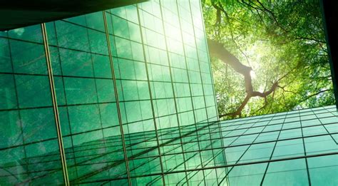 Importância E Desafios Para Ter Sustentabilidade Empresarial