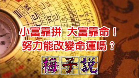 梅子說：小富靠拼，大富靠命！努力能改变命运吗？你的本命是兰博坚尼还是三轮车？ Youtube