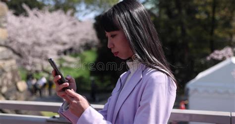 A Portrait Of Japanese Woman Using Smartphone Behind Cherry Blossom