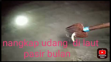 Nangkap Udang Di Pasir Bulan YouTube