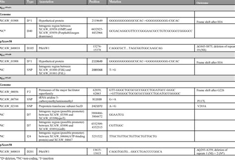 Validated Mutations In The Adapted Xcc Aw Strains Download Scientific