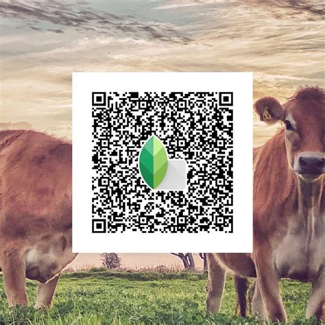 Free Snapseed Presets — Shayne Mostyn