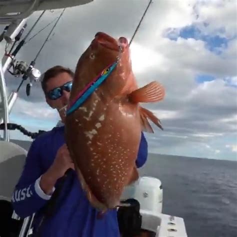 Jigging For Deep Sea Grouper Slow Pitch Jigging For Deep Sea