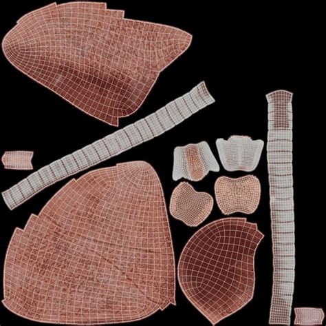 인체 해부학 인체 내부 장기의 외부 투영 3d 모델 Turbosquid 2215738