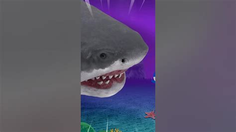 도망쳐 무서운 대왕 상어가 오고있어요 호이의놀이교실 핑크퐁 Youtube