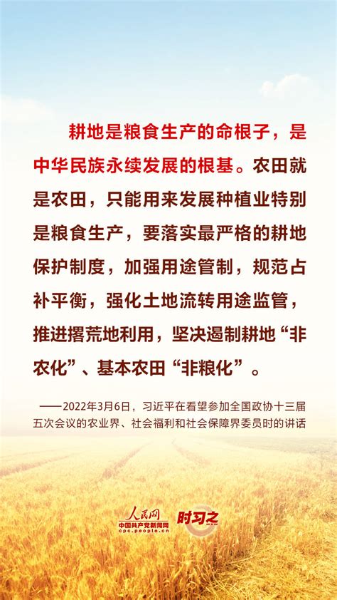 大国“粮”策藏粮于地 习近平关切这片“希望的田野”耕地谷非新闻页