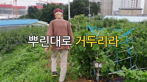 뿌린대로 거두리라 공 Youtube