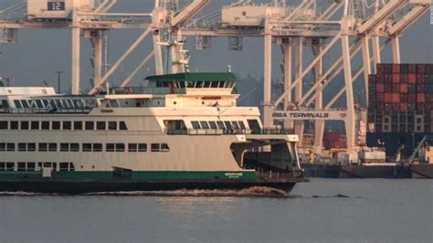 Speeding Ferry Hits Humpback Whale Cnn Video