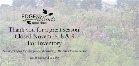 Edge Of The Woods Native Plant Nursery Llc Specializing In Plants
