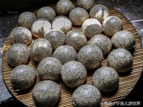 這種農村裏的生活你還能適應麼你是喜歡還是逃避 每日頭條