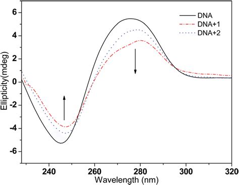 Cd Spectra Of Ct Dna 50 Mm In The Absence And Presence Of Complexes 1