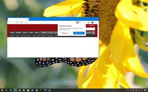 How To Enable Quiet Notification Requests On Microsoft Edge Pureinfotech