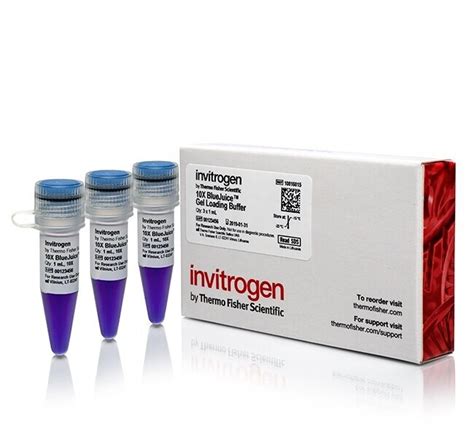 Dna Loading Buffer Thermo Fisher Scientific Jp