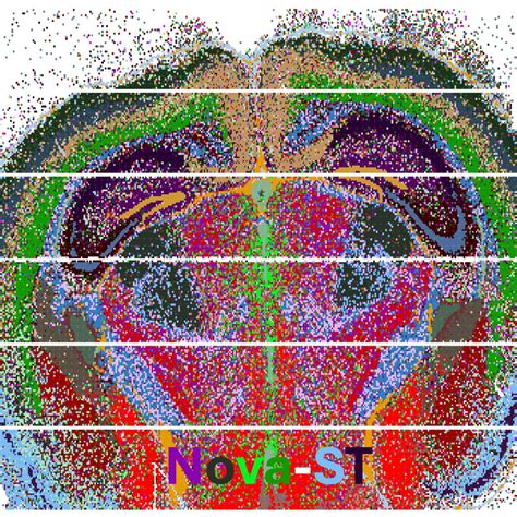 Nova St Spatial Transcriptomics Protocol