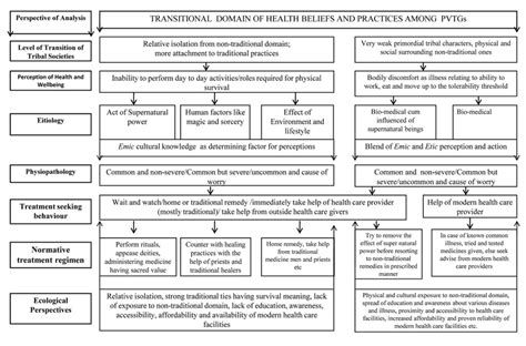 Conceptual Framework On Health Belief And Treatment Seeking Behaviour Download Scientific